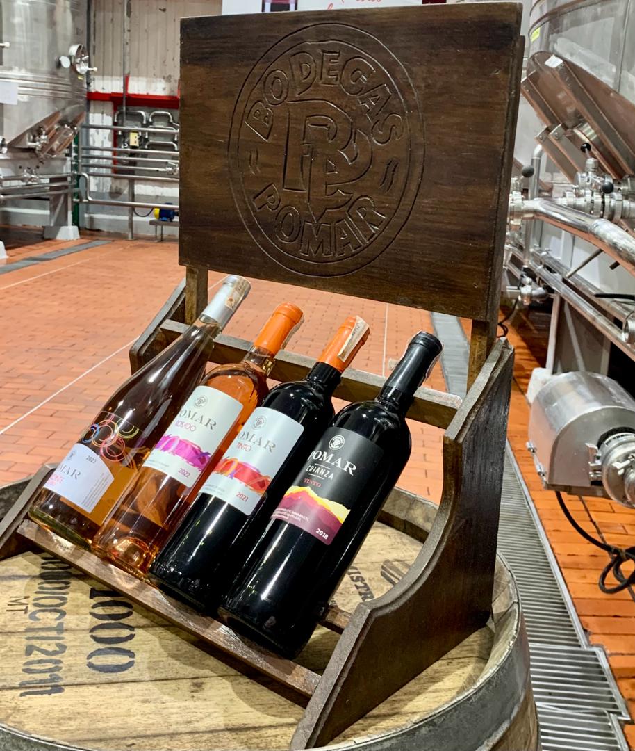 ¿Cómo se hace el vino? Entramos en el viñedo y la bodega de Pomar en ...